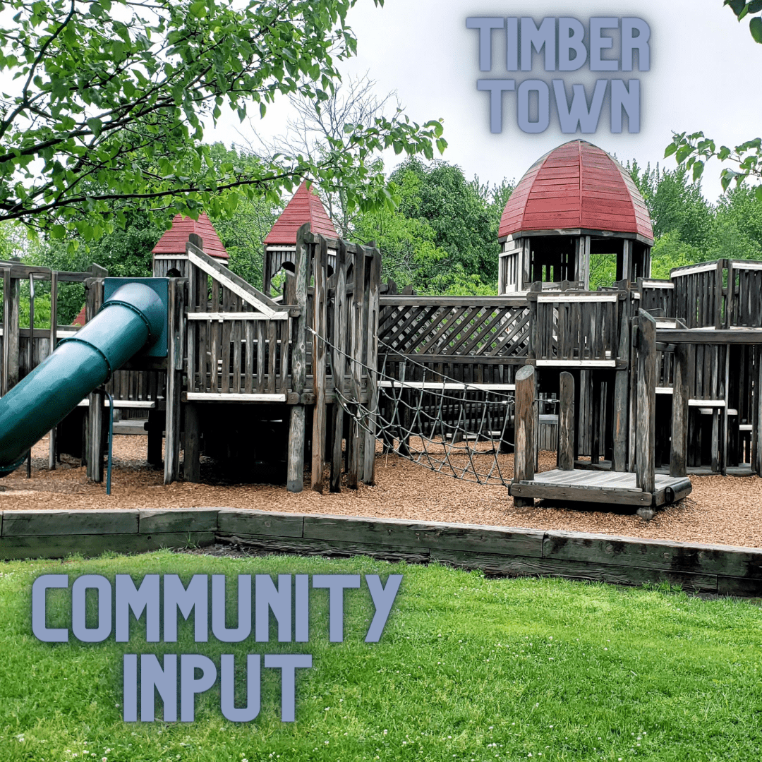 Timber Town Project | Community Input | Chelsea Michigan | chelseamich.com