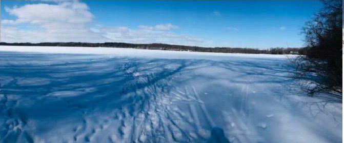 Off the Beaten Path in Chelsea’s West Lake Preserve | Chelsea Michigan ...